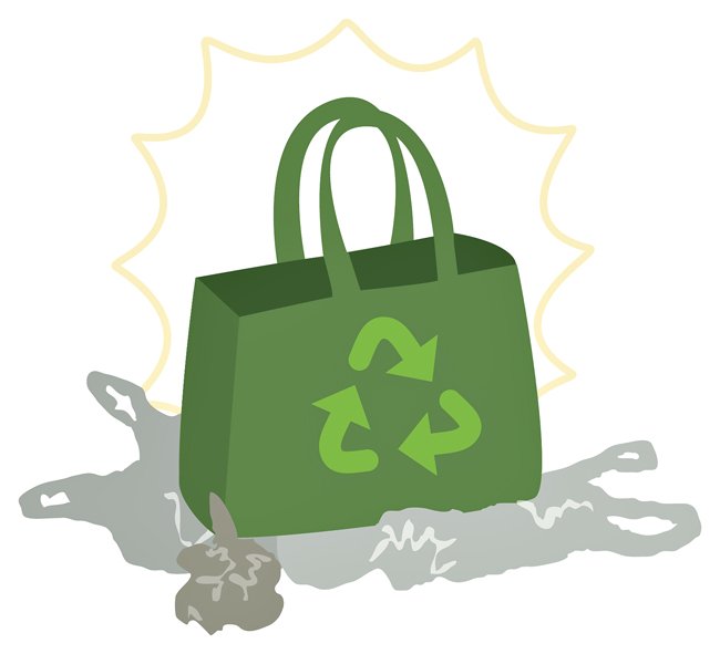 5 Things You Might Not Know About Recycling On FSU Campus | Sustainable ...