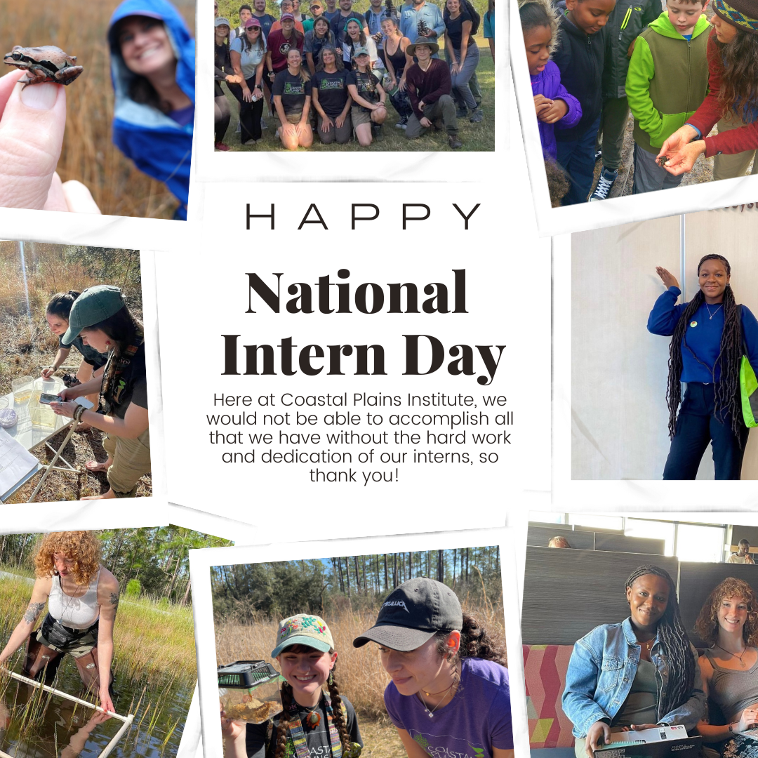 Students Create Social Media Campaigns For Environmental Action ...